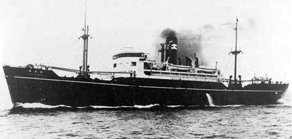 Apogon Sinkings - Daido Maru